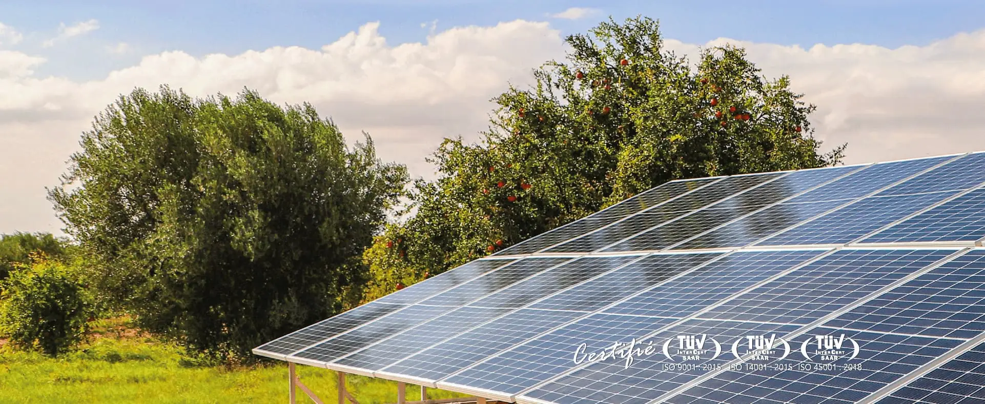 Home – Green Power Company : Leader in the field of photovoltaic installers